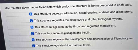 Solved Use The Drop Down Menus To Indicate Which Endocrine Structure