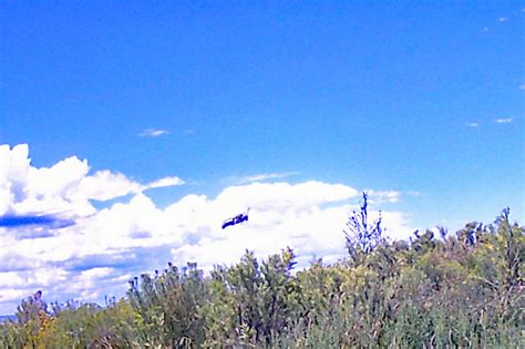 Grasshopper Life On A Colorado Farm