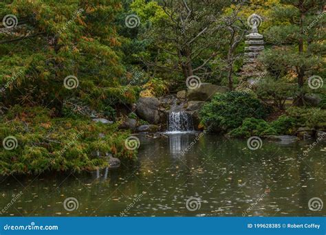 Beautiful Reflective Pool In The Garden Stock Image Image Of Water