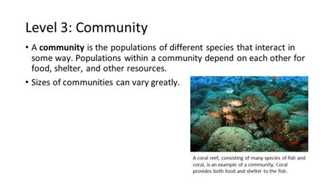 Essential Knowledge Ecosystem Organization Peer Program Youth Stem