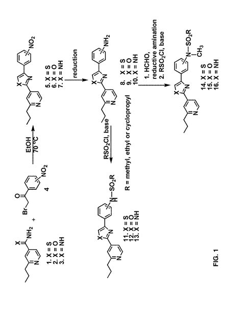 Compositions Of Fatostatin Based Heterocyclic Compounds And Uses Thereof Eureka Wisdom Buds