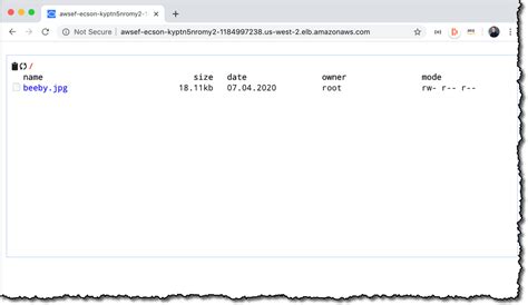 Amazon Elastic Container Service 现在支持 Amazon Efs 文件系统 亚马逊aws官方博客 Amazon Elastic Container Service 现在支持 Amazon Efs 文件系统 亚马逊aws官方博客