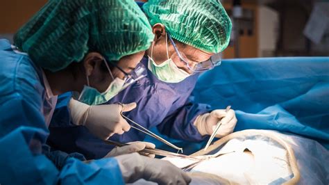 Almost 7000 Waiting For Lifesaving Transplants Bbc News