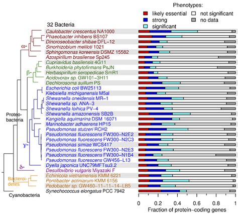 New Workflow Accelerates Experiment Based Gene Function Assignment