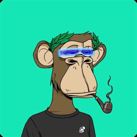 Julianmoraes Bayc Captions Manual Datasets At Hugging Face