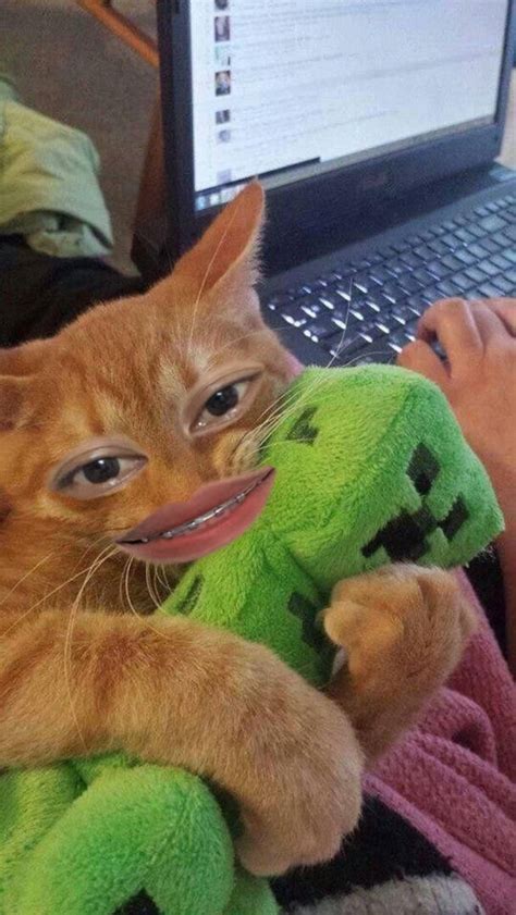 แชท กับ เหนื่อย