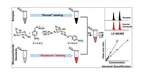 Paired Derivatization Approach With Hd Labeled Hydroxylamine Reagents