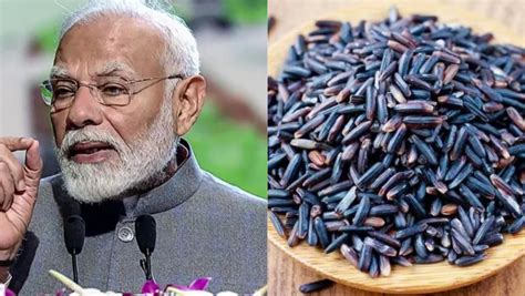Pm Modi Highlights Immense Potential And Food Value Of Northeasts