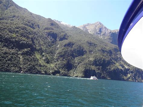 영어가이드 퀸즈타운 출발 밀포드 사운드 버스 일일투어 크루즈 탑승 And 점심 포함