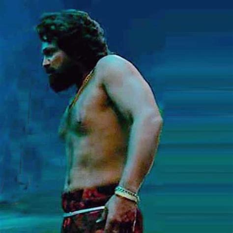 Allu Arjun Kamal Haasan Nagarjuna And More South Indian Movie Stars