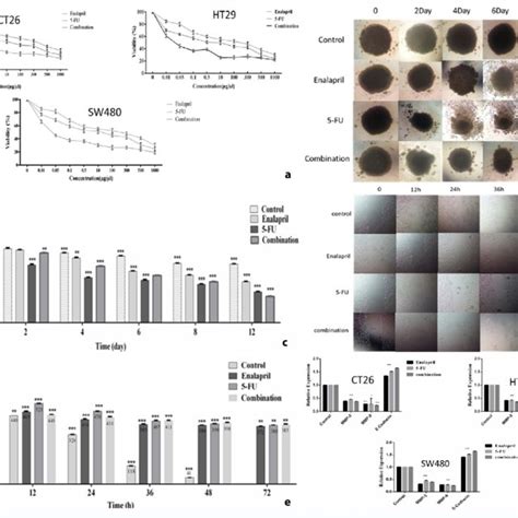 Inhibition Of Cell Proliferation And Migration In Colorectal Cancer