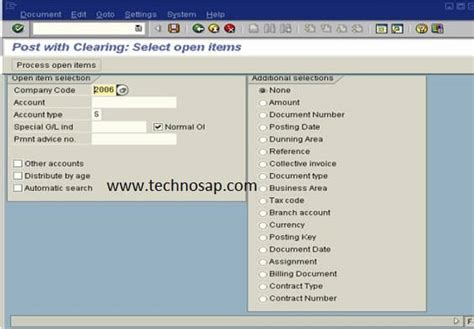 Clearing Functions In Sap What It Means