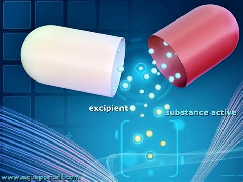 Excipient Définition Et Explications
