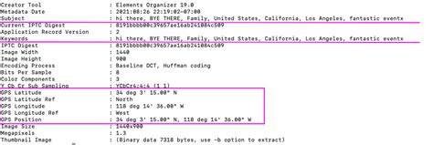 Saving Metadata To File Adobe Community 12345592