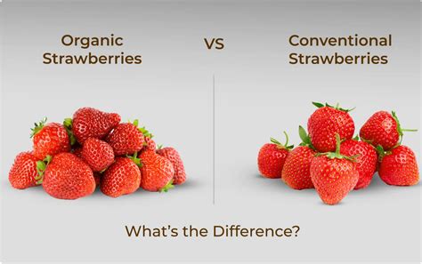 Organic Strawberries Vs Conventional Strawberries Whats The Differe