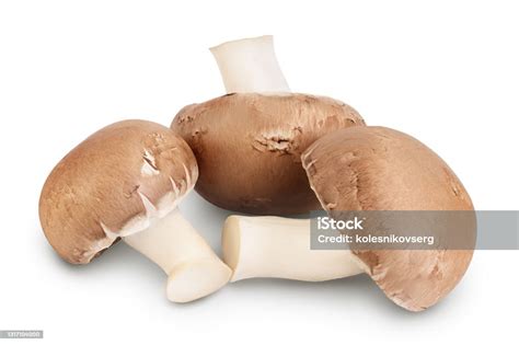 클리핑 경로와 전체 깊이의 필드가있는 흰색 배경에 고립 된 로얄 브라운 샴페인 건강한 식생활에 대한 스톡 사진 및 기타 이미지