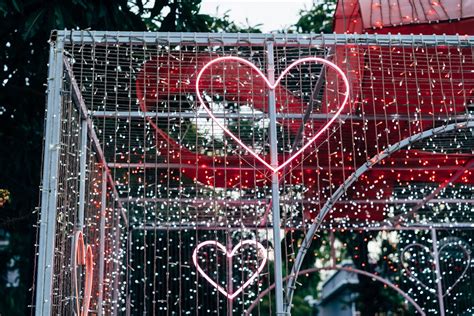 가벼운 네온 디자인 모양 발렌타인 분홍색 불빛 심장 장식 조명을 밝히다에 관한 무료 스톡 사진