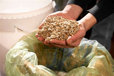Safeguarding Traditional Seed Storage Systems For Sustainable Agriculture Socialdhara