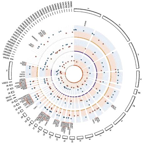 Figure S6 Circos Plot Of Differentially Methylated Regions Dmrs