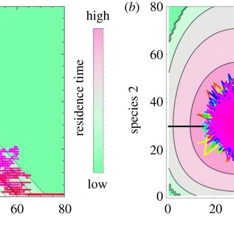 the system samples multiple trajectories on its way to fixation