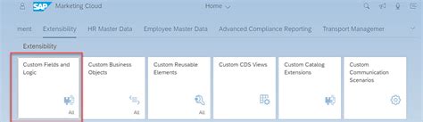 Extensibility Association To Standard Business Obj Sap Community