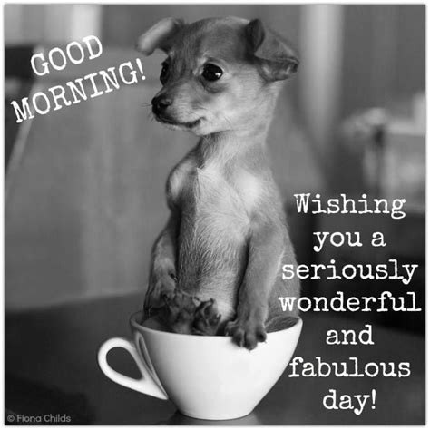 Good Morning Wishing You A Seriously Wonderful Day Morning Quotes