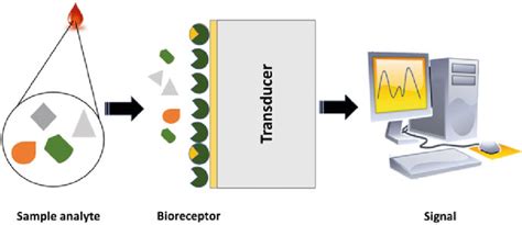 Schematic Diagram Of A Typical Biosensor Download Scientific Diagram