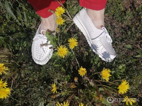 Отзыв о Туфли женские Bonavi Удобные и мягкие