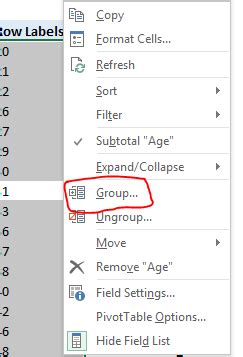 How To Group Data By Age Range In Excel