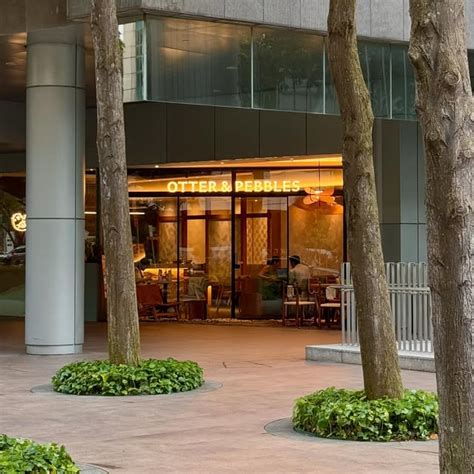 Otter And Pebbles Otterpebbles • Instagram Photos And Videos