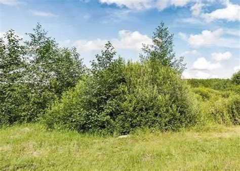 Купить земельный участок под ИЖС в Екатеринбурге продажа земли от собственника Земля 96