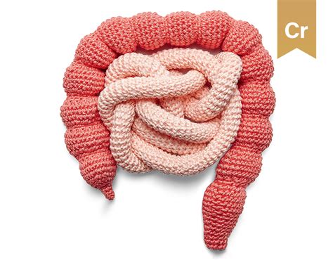 How To Crochet Human Anatomy Crochet Heart Brain And Lungs Patterns