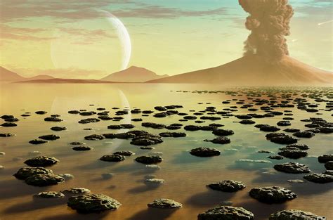 Every Living Thing On Earth Evolved From One Common Ancestor The Brighter Side Of News