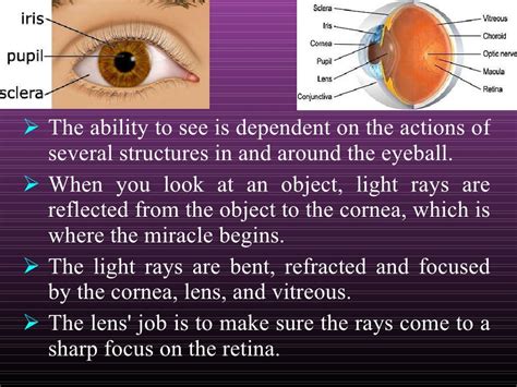 Eyes Refractive Errors Ppt