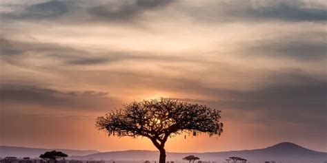 Evolving Neural Networks Learn Data Science With Travis Your Ai