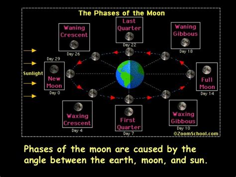 Seasons Phases Eclipses And Tides