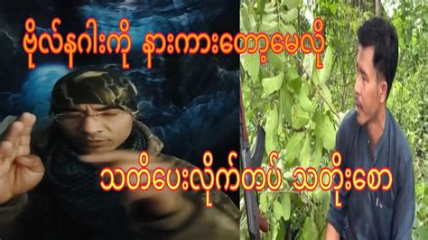 ဗေိုလ်နဂါးကို နားကားသောမေလို သတိပေးလိုက်တပ် သတိုးစော Youtube