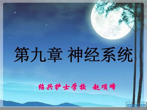 中枢神经系统脊髓与脑的概述 解剖学 文档之家