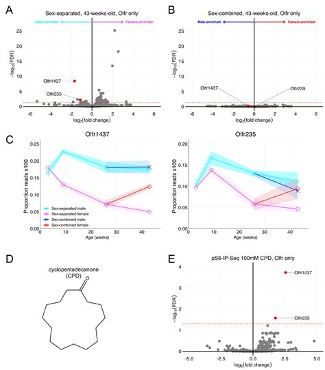 Semiochemical Responsive Olfactory Sensory Neurons Are Sexually Dimorphic And Plastic Elife