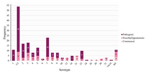 Can Streptococcus Suis Genotype Predict Its Pathogenicity Swine In Minnesota