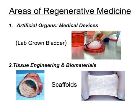 Tissue Engineering And Regenerative Medicine Pptx