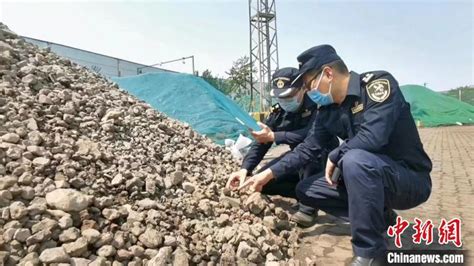 天津新港海关查获天津口岸今年最大数量“洋垃圾”，总重超533吨自贸区连线澎湃新闻 The Paper