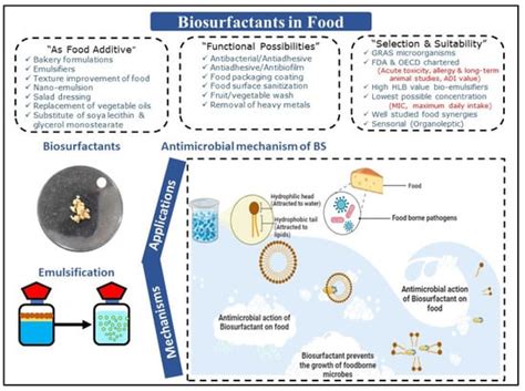 Biosurfactants As Food Additives Encyclopedia Mdpi