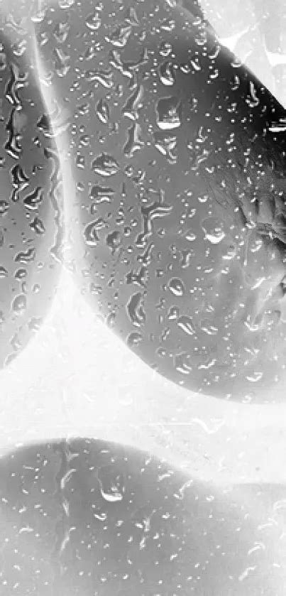 Monochrome Abstract Design Free Download