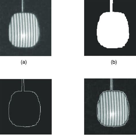 Edge Detection In Simulated Fringe Patterns With σ 254 A Raw Download Scientific Diagram