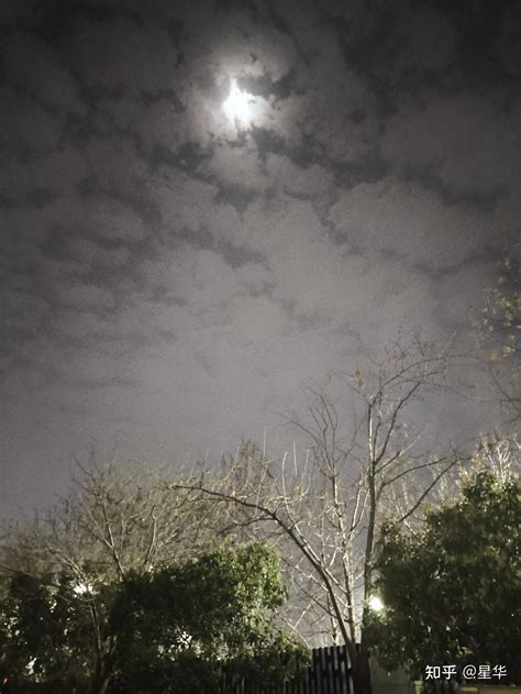 用于情绪分析的12个python库，对比分析 知乎