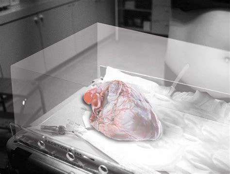 Homosexuality Eraser Conceptual Design On Behance