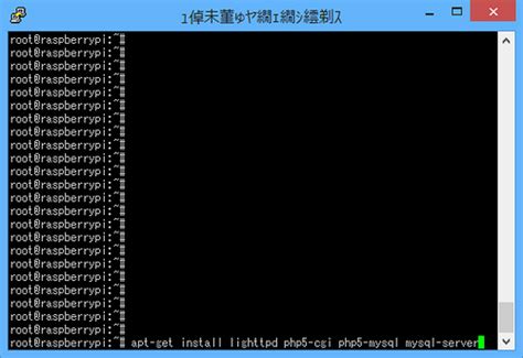 raspberry piでwordpressサーバ dd host lab