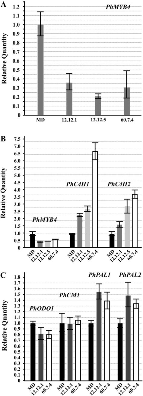 Comparative Transcript Accumulation Analysis Between Md And The