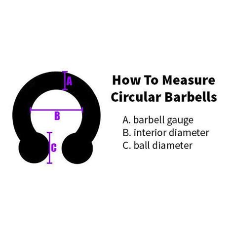 8g Gold Circular Barbell Tulsa Body Jewelry